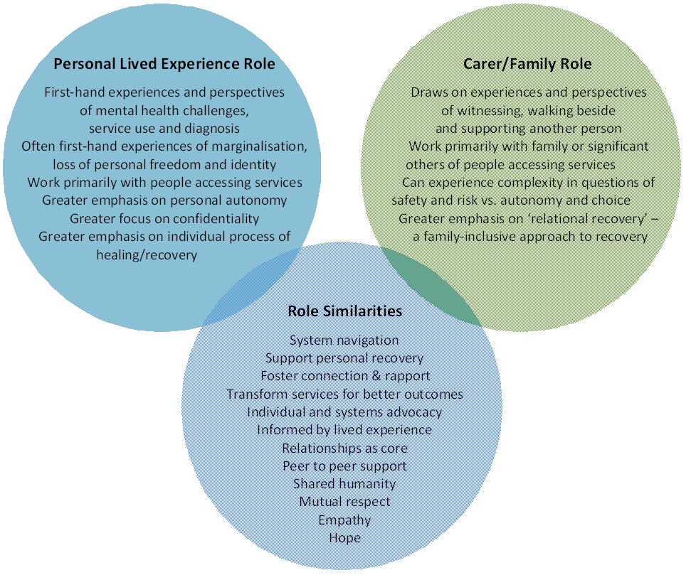 Definitions - Lived Experience Leadership