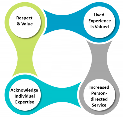 Workplace Culture - Lived Experience Leadership